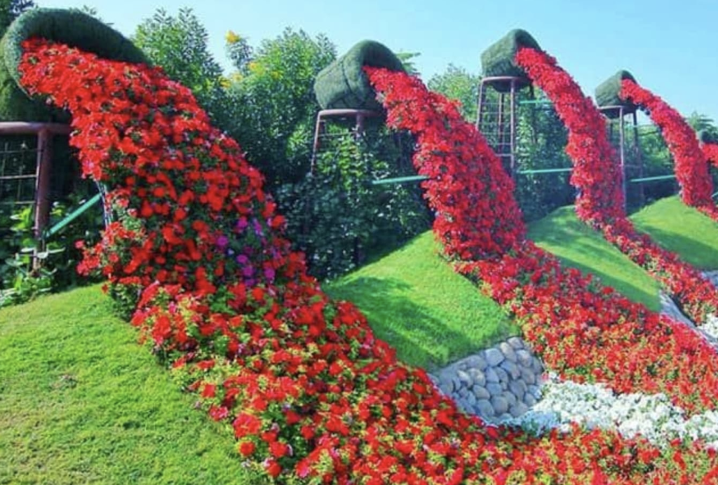 Dubai Miracle Garden opens for new season with more attractions and 150 ...